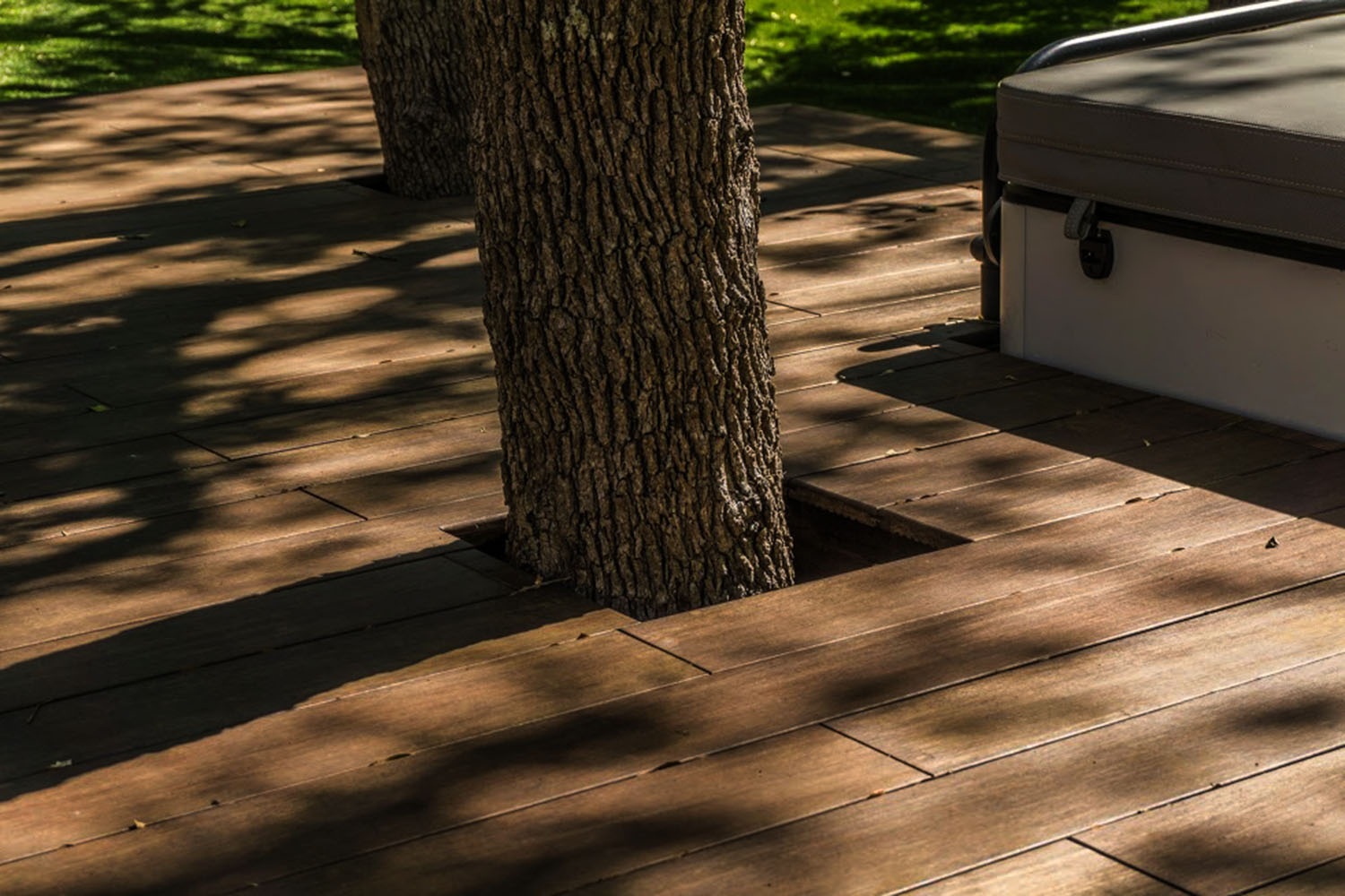 dassoXTR Project ATX Georgian Oaks Deck