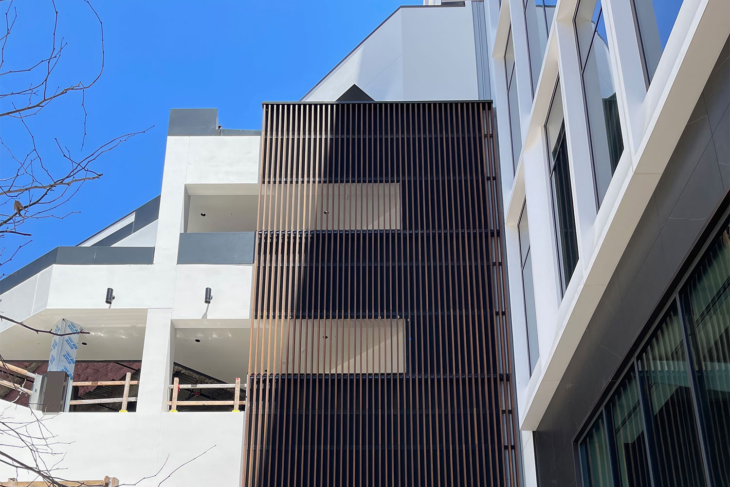 dassoXTR Project Horton San Diego