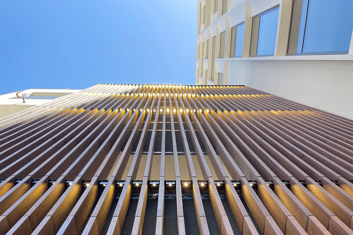 dassoXTR Project Horton San Diego